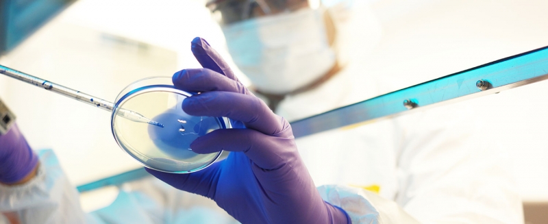 Scientific Advisory Board